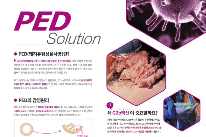 [광고] PED Solution
