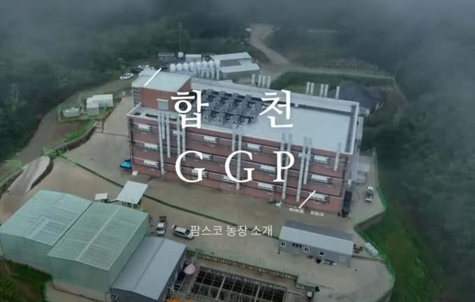 [농장이야기] 팜스코의 새로운 시작점! 최첨단 시설의 합천 GGP!