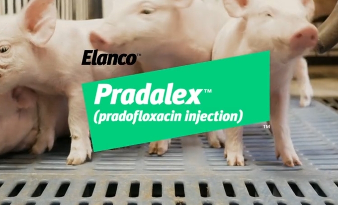 엘랑코, 최신의 혁신적인 주사용 항생제 '프라달렉스' 출시
